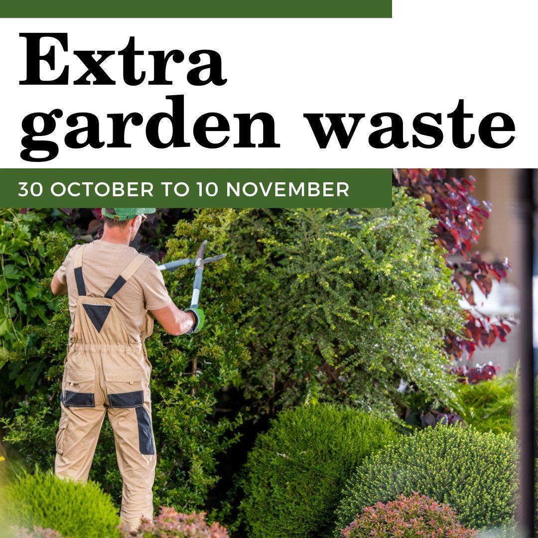 If you are subscribed to SODC's brown bin service, from 30 October to ...
